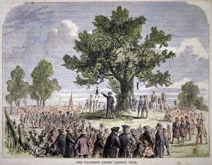 Liberty Trees: Roots of The American Revolution – Rewilding4Republicans